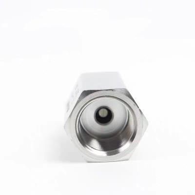 Cina Personalizzazione Air Spring caricato 1/4 pollice a filo CF8 One Way Non Return Check Valve in vendita