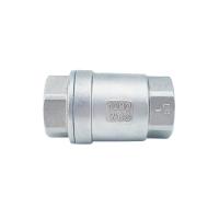 China Check Valve Customization Stainless Steel Spring Vertical Non Return Customized Request for sale