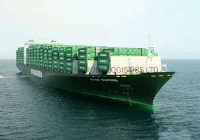 Cina Spedizioniere di FBA di Seafreight dalle linee del contenitore di Shenzhen a Holland Belgium France in vendita