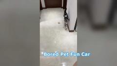 Pet Remote Control Car-a