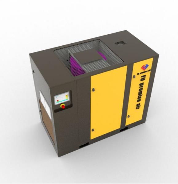 Quality OE-30A-2S Twin Stage Compressor | Stable Constant Output & Standard BSP Thread Port for sale
