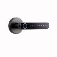 China Multifunctional Wifi Smart Door Lock / Keypad Electronic Door Lock With Key for sale