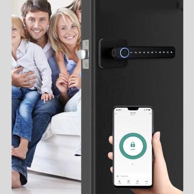 Cina Sicurezza Sistema di chiusura delle porte intelligenti / Serrature per porte residenziali con impronte digitali in vendita