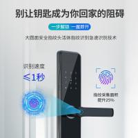 China Security Fingerprint Door Lock Black App Controlled Door Lock Smart for sale