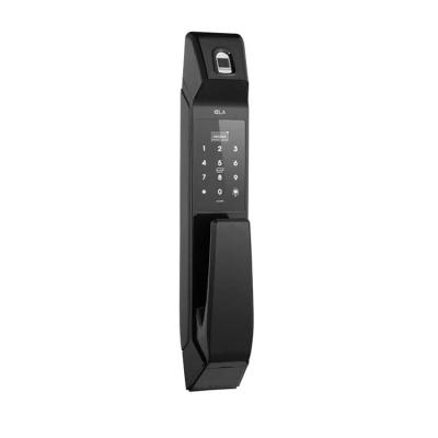 Cina Chiusura porta elettronica biometrica intelligente per la casa, impronte digitali password Chiusura porta in vendita