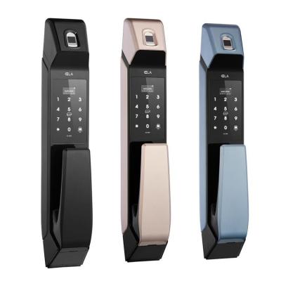 Cina Chiusura porta elettronica biometrica intelligente per la casa, impronte digitali password Chiusura porta in vendita
