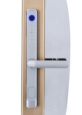 China Huis Glijdend Smart Door Lock Elektronisch vingerafdruk deur slot Te koop