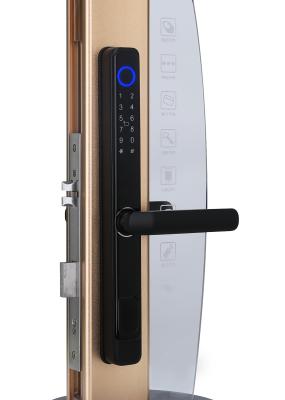 China Huis Glijdend Smart Door Lock Elektronisch vingerafdruk deur slot Te koop