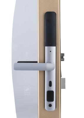 China Huis Glijdend Smart Door Lock Elektronisch vingerafdruk deur slot Te koop