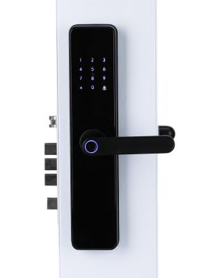Cina Chinese Smart Door Lock elettrico con touch screen 2 anni di garanzia in vendita