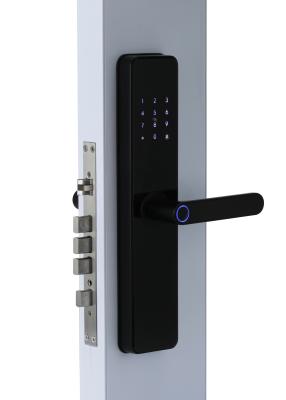 Cina Chinese Smart Door Lock elettrico con touch screen 2 anni di garanzia in vendita