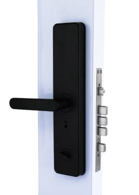 Cina Chinese Smart Door Lock elettrico con touch screen 2 anni di garanzia in vendita