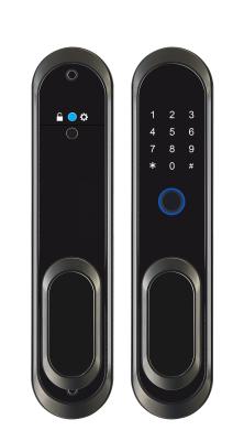 China Smart Cylinder Door Lock Vingerafdruk TTlock Digitaal Door Lock Voor Appartement Te koop