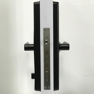 China Alumínio liga Tuya APP fechadura inteligente fechadura de porta de impressão digital exterior à venda