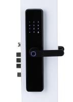 China Biometric Fingerprint Door Lock Security Keyless Security Door Locks for sale