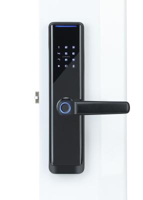 中国 バイオメトリック 住宅用電子ロック ブラックハウス/ホーム フィンガープリントロック 販売のため