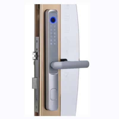 Cina Home Impronta digitale porta scorrevole serratura di sicurezza 2 anni di garanzia in vendita