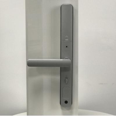Cina Home Impronta digitale porta scorrevole serratura di sicurezza 2 anni di garanzia in vendita
