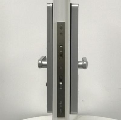 Cina Home Impronta digitale porta scorrevole serratura di sicurezza 2 anni di garanzia in vendita