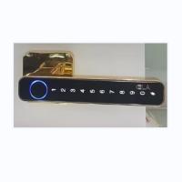 China High Security Residential Door Locks Electronic Entry Door Locks for sale