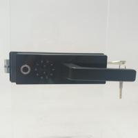 China Apartment Smart Digital Lock Door Cloud Data Storage for sale