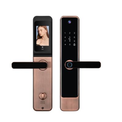 Cina Serratura della porta di sicurezza con impronte digitali/Smart Door Lock in vendita