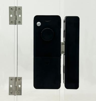 China Tuya 3d aluminium deur slot ELA E188 deadbolt sleutel toegang glas slimme deur slot systeem voor thuis hotel appartement Te koop