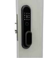 China ELA E-556 Automatic Door Smart Lock Opens By Touch Without Pressing Handle for sale
