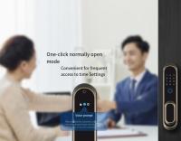 China ELA E-556 Automatic Door Smart Lock Opens By Touch Without Pressing Handle for sale