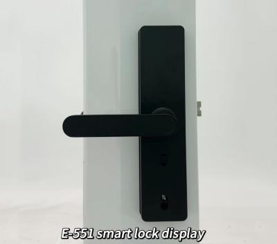 Китай ELA E-551 Биометрический отпечаток пальцев Smart Lock Hotel Door Lock с электрической функцией для умных домов или офисов продается