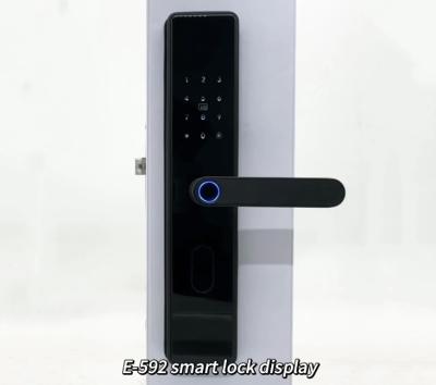 Cina Serrature per porte ELAStil lussuoso Maniglia di sicurezza elettrica digitale Tuya Ttlock Intelligente Wifi Impronta digitale Porta serratura intelligente in vendita
