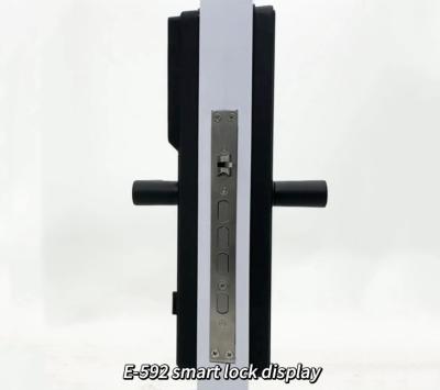 Cina Serrature per porte ELAStil lussuoso Maniglia di sicurezza elettrica digitale Tuya Ttlock Intelligente Wifi Impronta digitale Porta serratura intelligente in vendita