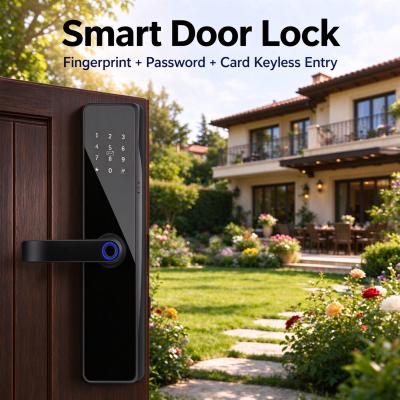 China Aluminum Alloy Top Rated Fingerprint Smart Door Lock Keyless Entry for Villa for sale