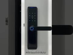 ELA deurslotenLuxury stijl elektrisch veiligheidshandvat Digitaal Tuya Ttlock Intelligente Wifi vingerafdruk deur Intelligent slot