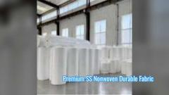 SS Nonwoven Fabric 100 Percent Virgin PP Spunbond