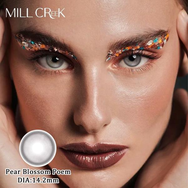 Quality 14.2mm Diameter 8.5mm Base Curve Yearly Disposable Contact Lenses Eye Lens for sale