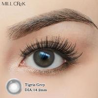 Quality Brown Daily Disposable Lenses Grey High Comfort Level 14.2mm Diameter for sale