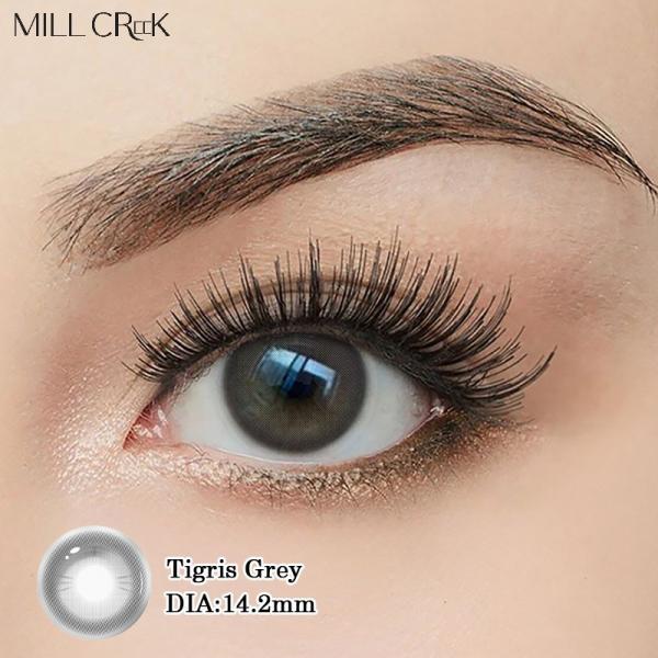 Quality Brown Daily Disposable Lenses Grey High Comfort Level 14.2mm Diameter for sale
