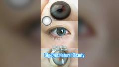 Cream Blue 14.5mm Colored Contacts for Big Eye Effect Natural Beauty 8.5 Base 40% Water Annual