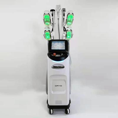 Cina Rimozione grassa 1000W della macchina di Cryolipolysis di cavitazione 360 di vuoto in vendita