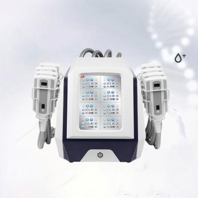 Cina Non gelata grassa di Cryolipolysis dei cuscinetti di vuoto che dimagrisce il ODM dell'OEM della macchina in vendita