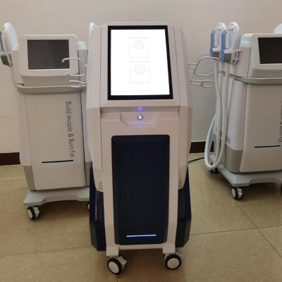 Cina Corpo che dimagrisce la macchina di raffreddamento di crioterapia di bordi della macchina 360 di Cryolipolysis in vendita