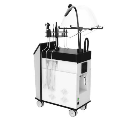 Cina La pelle dell'ossigeno si preoccupa la macchina di Hydrafacial Microdermabrasion con la maschera di assorbimento in vendita