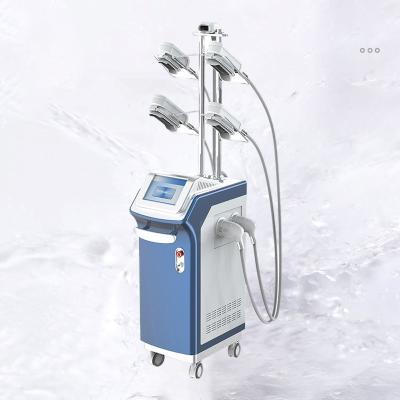 Cina 5 macchina funzionante 1000W di Coolsculpting Cryolipolysis del portatile 360 delle maniglie in vendita