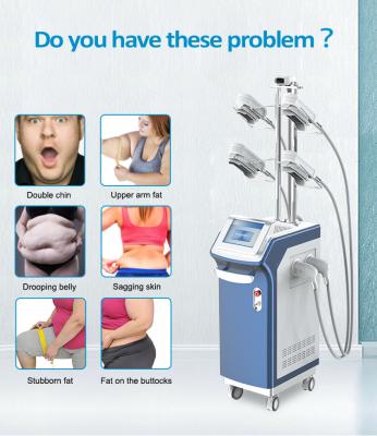 Cina 5 macchina funzionante 1000W di Coolsculpting Cryolipolysis del portatile 360 delle maniglie in vendita