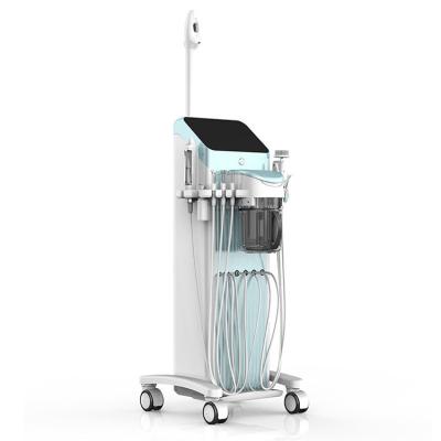 Cina macchina 7 di Dermabrasion Hydrafacial di infusione 220V in 1 idro macchina dell'ossigeno 200Kpa in vendita