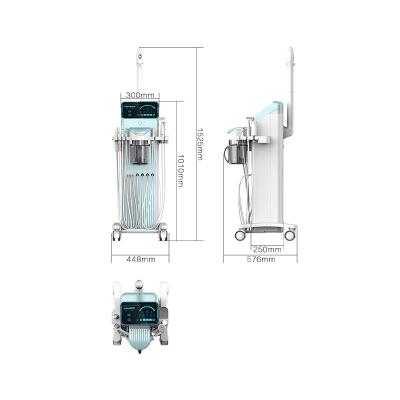 Cina macchina 7 di Dermabrasion Hydrafacial di infusione 220V in 1 idro macchina dell'ossigeno 200Kpa in vendita