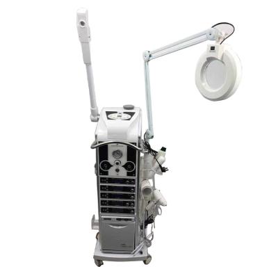 Cina BIO- macchina 17 di bellezza di Multifunction Spa Facial dell'estetista in 1 in vendita