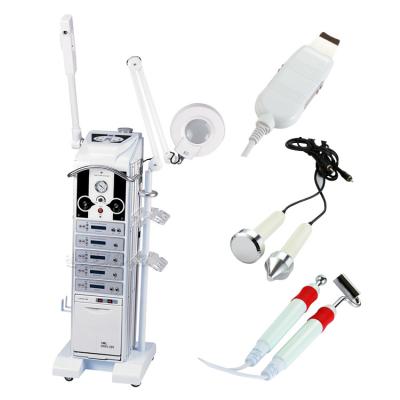 Cina BIO- macchina 17 di bellezza di Multifunction Spa Facial dell'estetista in 1 in vendita