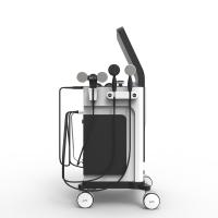 China Shockwave Therapy Physiotherapy Machine 300w for sale